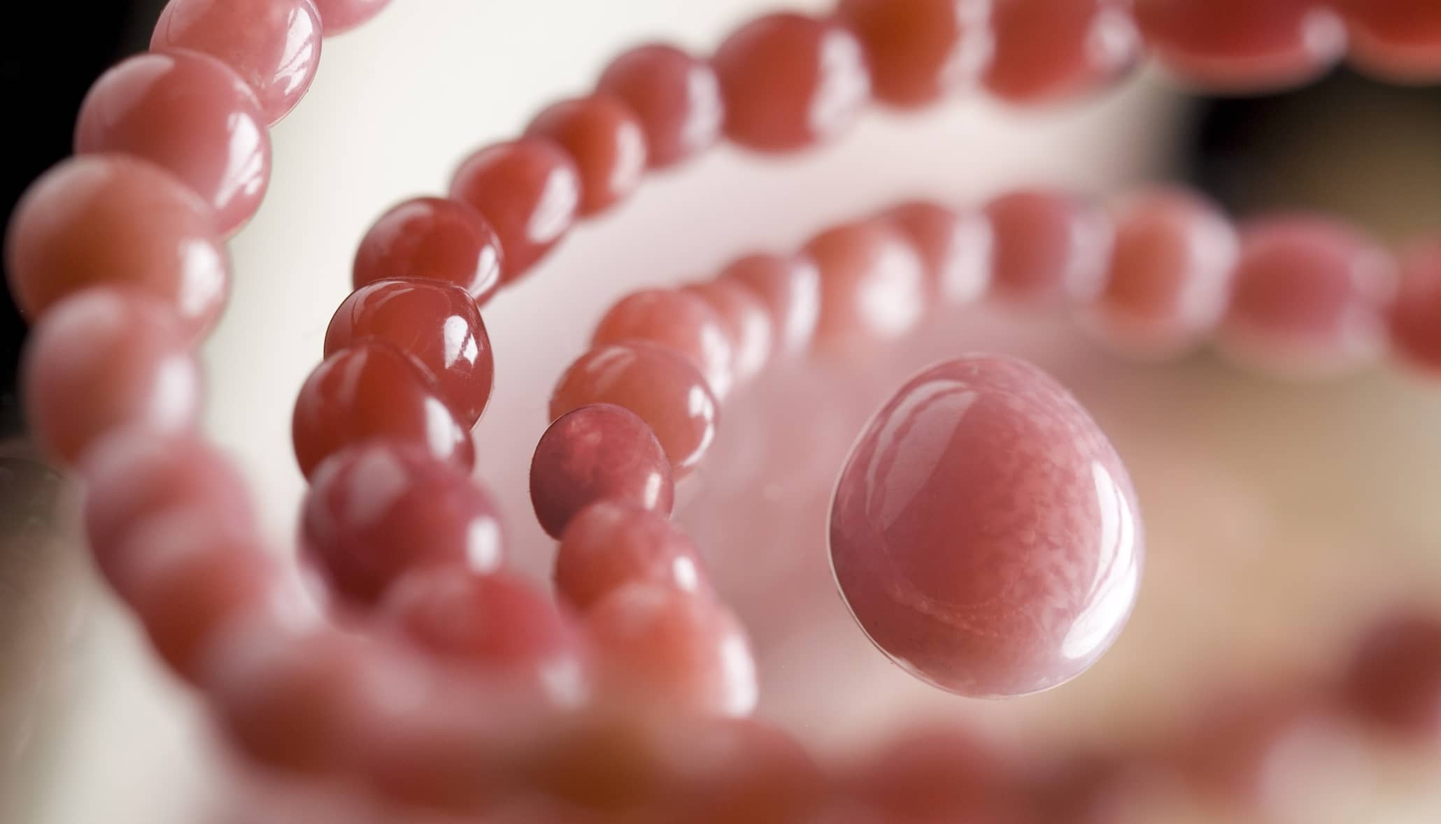 Conch Pearls GmbH – Die Conch Pearls GmbH ist Ihr Ansprechpartner für ...