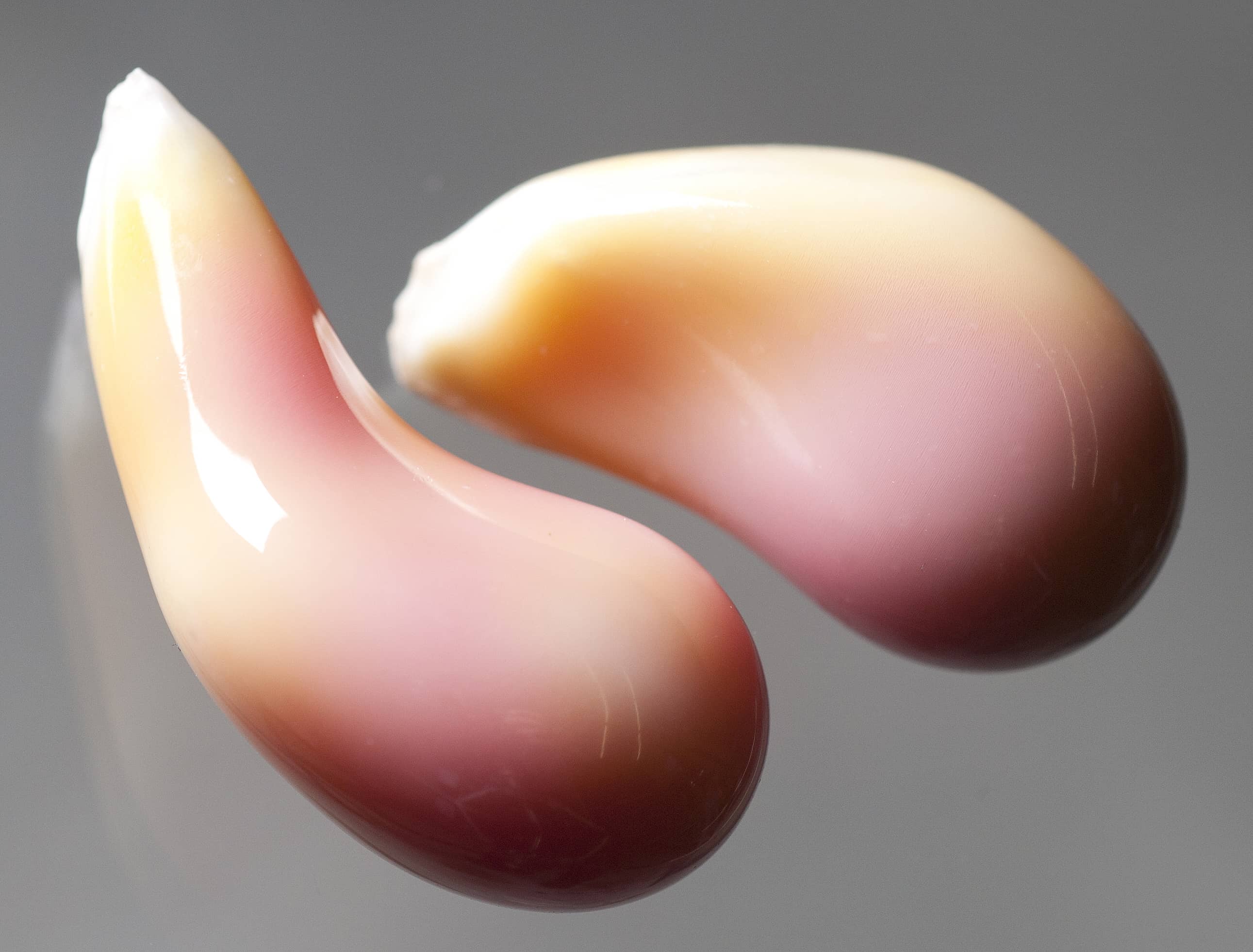 Conch Pearls GmbH – Die Conch Pearls GmbH ist Ihr Ansprechpartner für ...